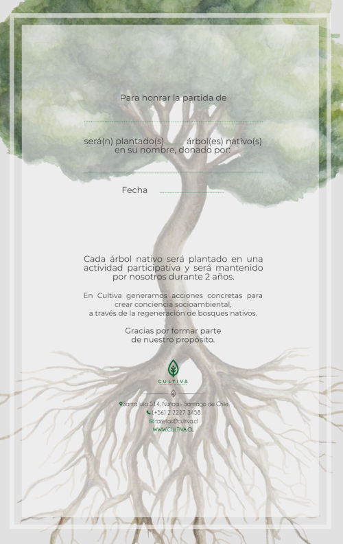 Bosque Para Donar